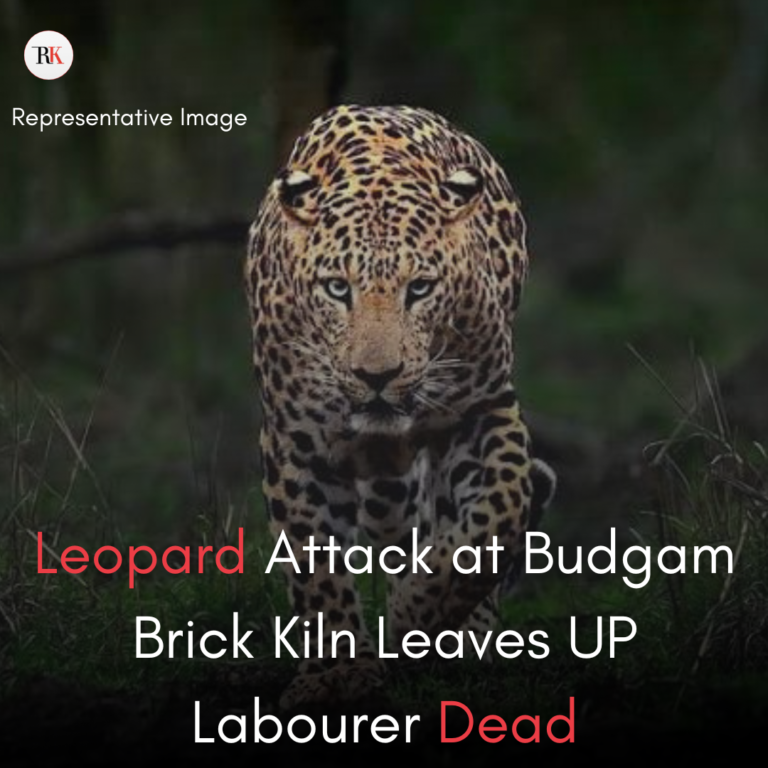 Leopard Attack at Budgam Brick Kiln Leaves UP Labourer Dead
